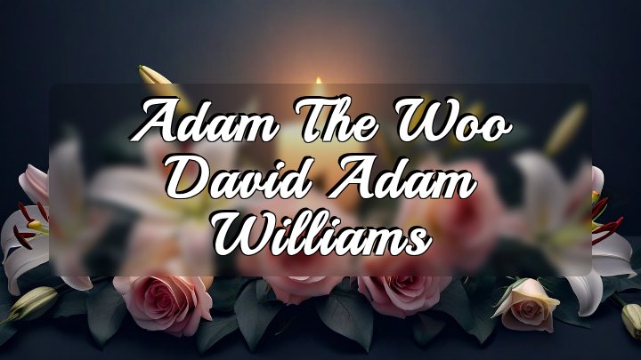 Adam The Woo (David Adam Williams), Pioneering YouTube Content Creator ...