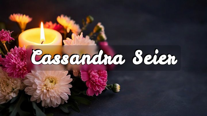 Cassandra Seier, Esteemed Leader and Advocate for Women in Financial ...