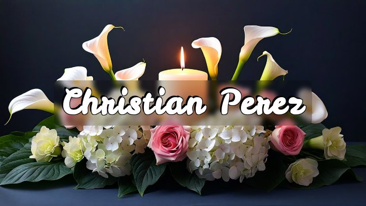 Christian Perez Dies in Late-Night Crash on Father Delaney Street in ...