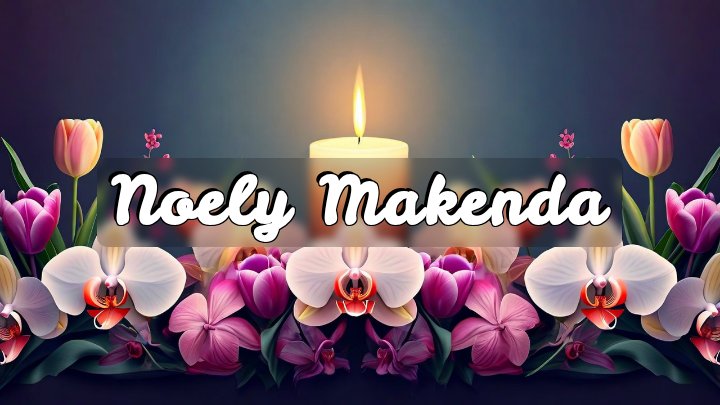 Orange Park Mourns – 21-Year-Old Sailor Noely Makenda and Roommate ...