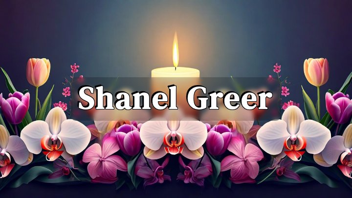 Shanel Greer, Beloved Akron Resident, Tragically Dies in Domestic ...
